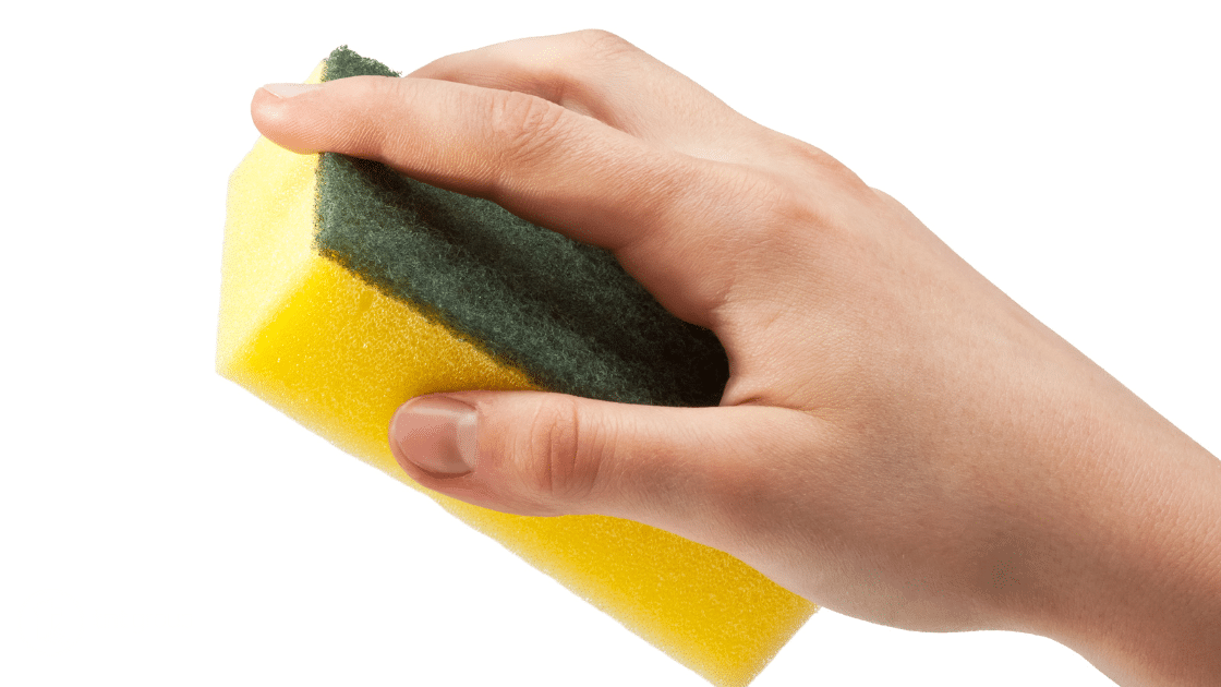 Sponge in a Dream – 24 Super Meaning and Explanation